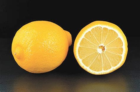 비타민c의 대표주자 오렌지 레몬 자몽 알아보기 팁뉴스 Tipnewss