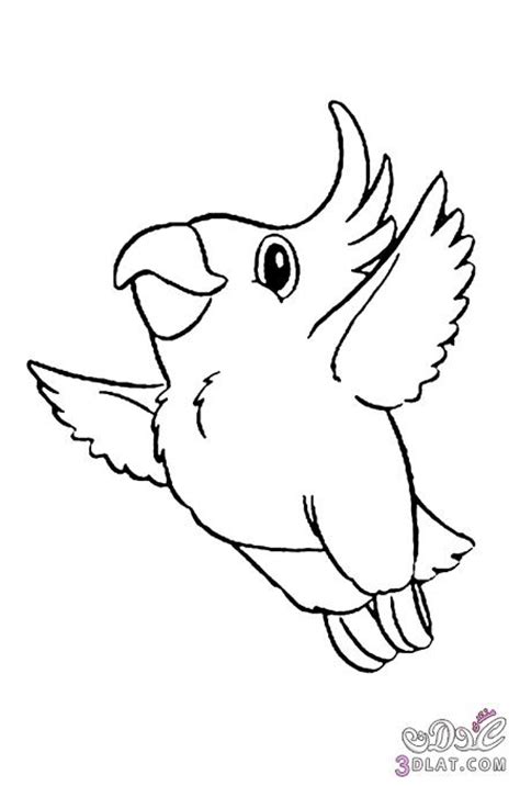 صور للتلوين رسوم المتحركه للتلوين صور رسوم متحركه للتلوين ريموووو