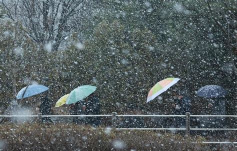 [포토] 함박눈 내리는 날 아주경제