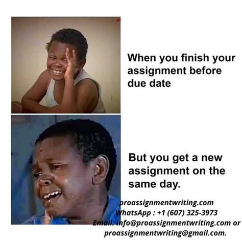 Assignment Help Student Memes Student Problems Teacher Memes