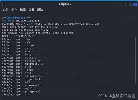 kali利用ftp端口（21）漏洞攻击metasploitable2 linux靶机（笑脸漏洞） vsftpd 2 2 2 漏洞 csdn博客