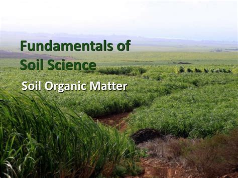 PPT Fundamentals Of Soil Science PowerPoint Presentation Free Download ID 4998383