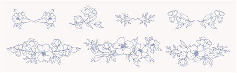 Fl Design Border Frame Flower Outlines