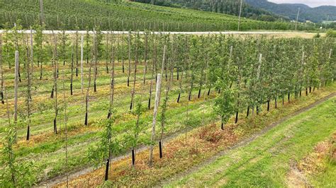 Variable Zoning Can Lead To Precision Agriculture Farmable