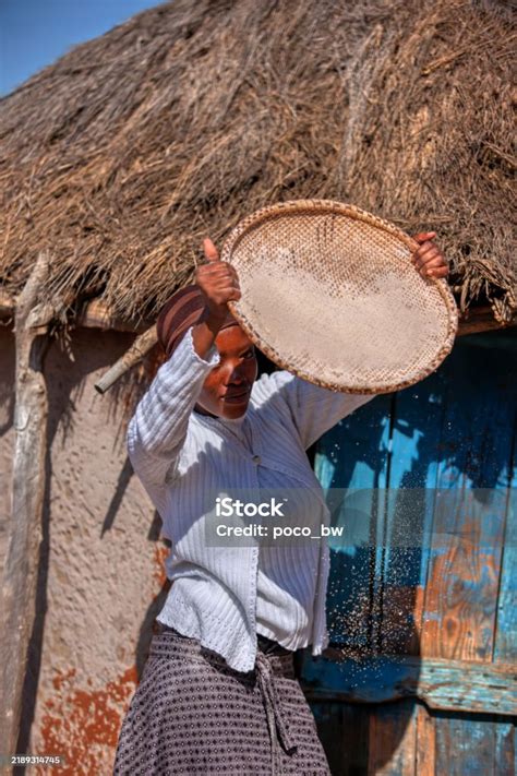 마을의 빈곤 초가 지붕 오두막 Rondavel 앞에서 수수 바구니를 들고 춤추는 아프리카 여성 굶주림을 근절하기 위한 프로그램을 가진 자선 단체 자원 봉사자 20 24세에