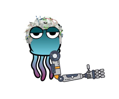 Differences Between Eeg Nirs Fmri And Meg