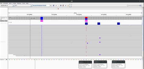 Pipeline Methylation Detection Dna Squigualiser