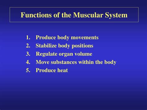PPT Functions Of The Muscular System PowerPoint Presentation Free Download ID 1383226
