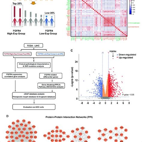 Genetic And Pathway Differences In Populations Associated With Fgfr4