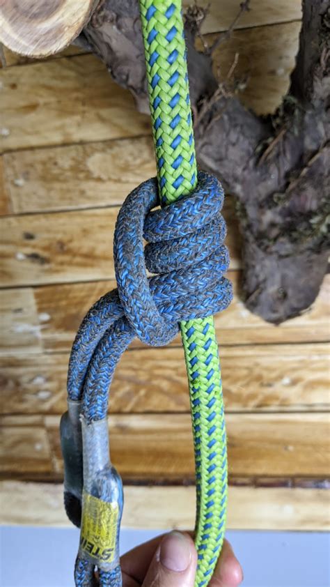 What Knots Do Tree Climbers Use