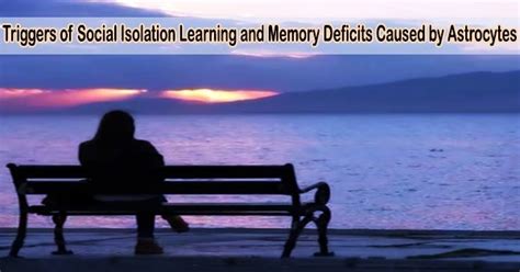 Triggers Of Social Isolation Learning And Memory Deficits Caused By Astrocytes Assignment Point