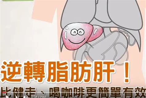患脂肪肝怎麼辦 最有效的方法是瘦身（視頻） Articles 新唐人新聞網 Gan Jing World