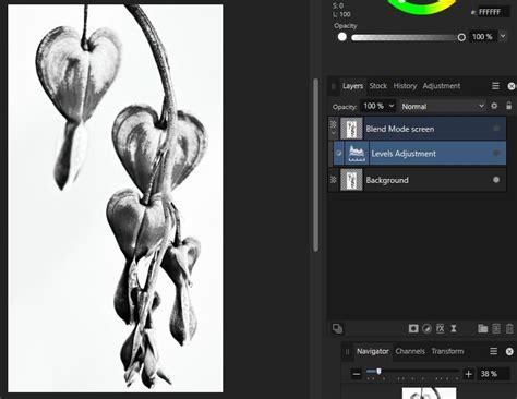 Lose Adjustment Layer Effect When I Merge The Layers V2 Bugs Found On Windows Affinity Forum