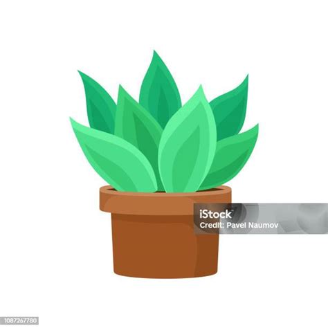밝은 녹색 선인장 갈색 세라믹 냄비에 나뭇잎 가정 Décor에 대 한 다 육 식물 작은 Houseplant의 평면 벡터 아이콘 0명에 대한 스톡 벡터 아트 및 기타 이미지