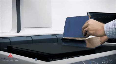 Understanding Scanner Input And Output Key Facts Every User Should Know Updated July