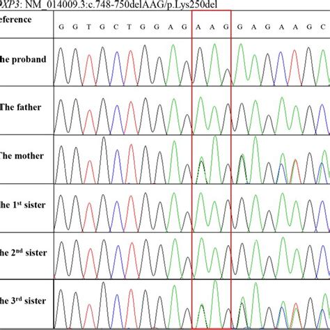 Genotyping Of The Foxp3 Gene Mutation C 748 750delaag P Lys250del In Download Scientific