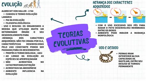 Solution Teorias Evolutivas Studypool