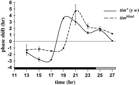 Anchored Light Phase Response Curve Of Tim Download Scientific Diagram