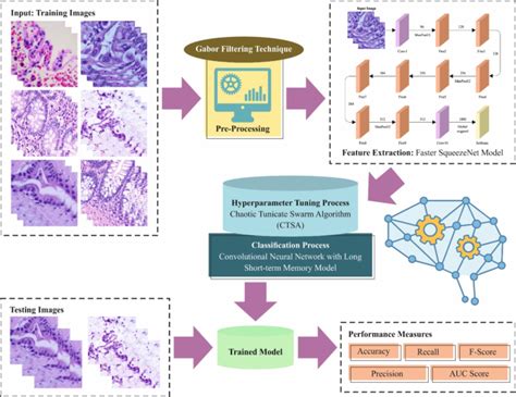 使用基于深度学习的疾病诊断模型对复杂的医疗保健系统进行预测分析 Scientific Reports X Mol