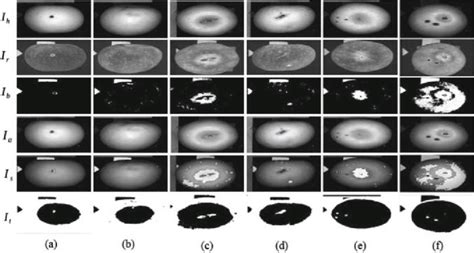 Detection Results Of Defective Apple Samples Scab A Bruise B