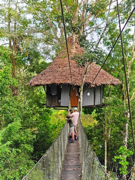 Taylor Family On Swinging Bridge At Treehouse Lodge Amazon Rainforest Peru 4 2TravelDads