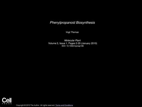 Phenylpropanoid Biosynthesis Ppt Download