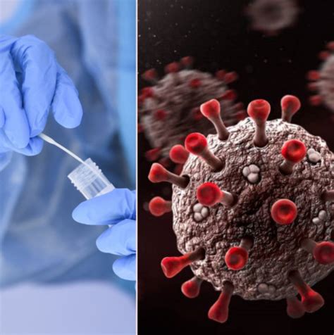 Нов Ковид щам сее смърт уби над 800 души за седмица За Жената