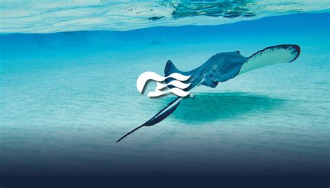 Caribbean Cruise Princess Cruises