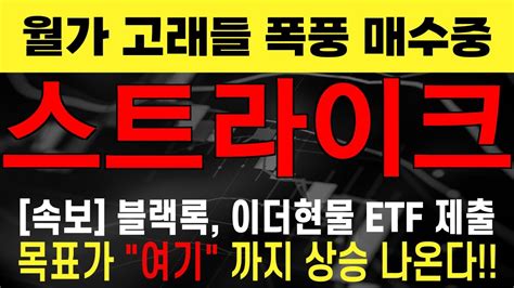 코인 스트라이크 스트라이크 코인분석 목표가와 함께 투자 미래를 그려봅시다 Youtube