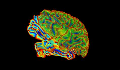 Decoding The Most Complex Object In The Universe Science Friday