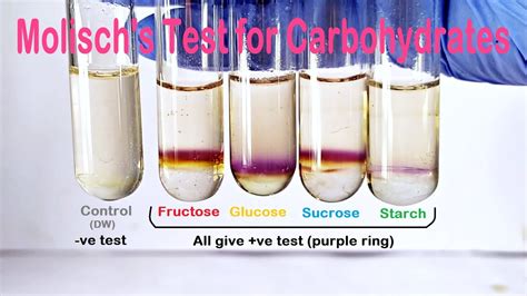 Molischs Test Practical Experiment Youtube