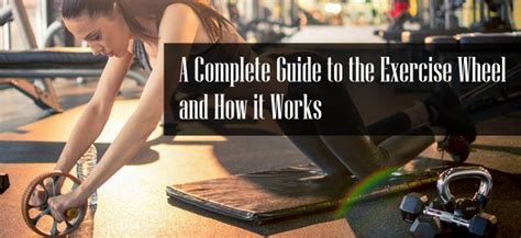 A Complete Guide To The Exercise Wheel And How It Works 2024