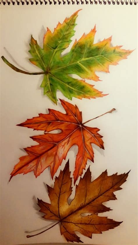 How To Draw A Realistic Autumn Leaf