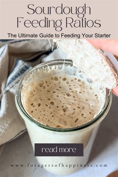 How To Feed My Sourdough Starter Artofit