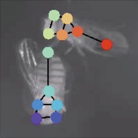 Cell Press STAR Protocols
