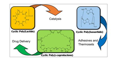 Synthesis Properties And Applications Of Bio Based Cyclic Aliphatic Polyesters Biomacromolecules