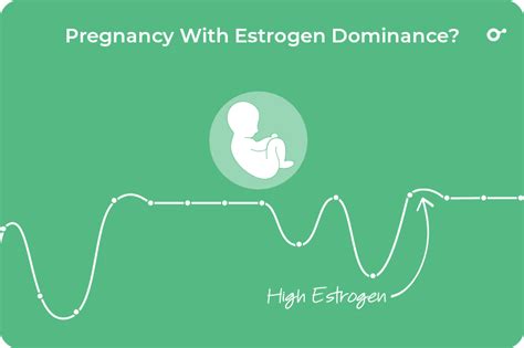 Estrogen Dominance And How Does It Affect The Body Inito