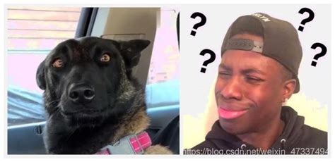 Css 文本超出强制换行未生效？？文字超出不换行bug Csdn博客