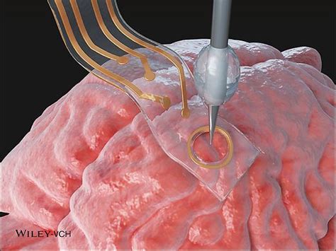 杂志封面设计素材 素材网站 图片免费下载 Zcool站酷