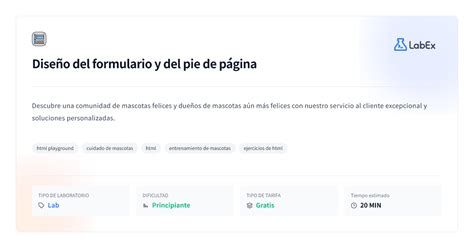 Diseño Del Formulario Y Del Pie De Página Labex