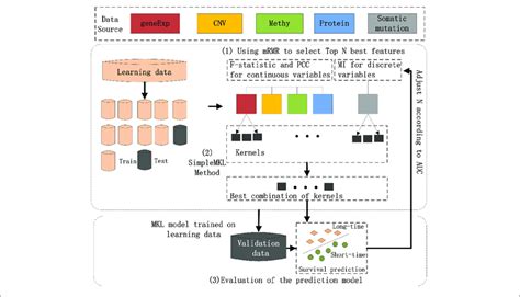 Workflow Of The Hybrid Combination Of The Mkl Model With The Mrmr Download Scientific Diagram