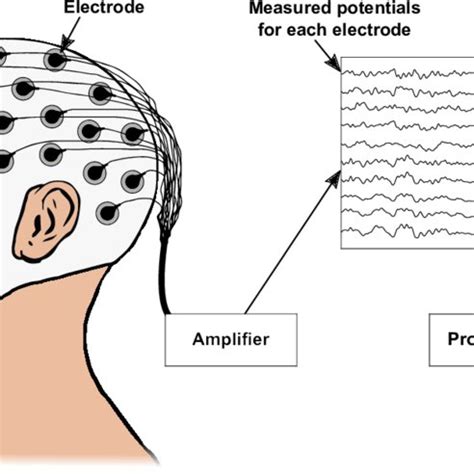 7 Schematic Diagram Of An EEG Recording Experiment Source 101 Download Scientific Diagram