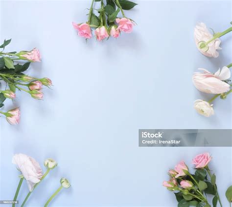 꽃 배경입니다 옅은 파란색 배경에 옅은 핑크 라와 장미 꽃의 꽃다발 프레임 최고의 볼 수 있습니다 복사 0명에 대한 스톡 사진