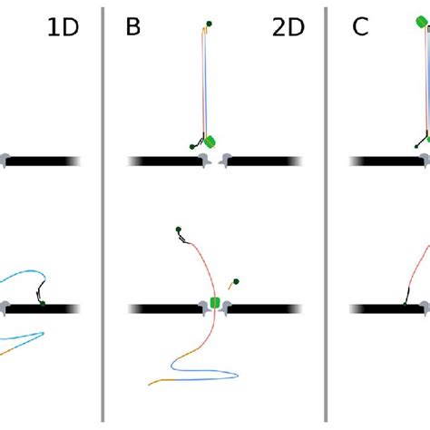 Example Of A Minion Dna Read As Raw Data Grey Line And The Event Data