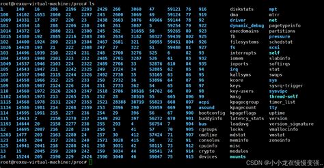 Linux系统之proc文件系统详解及代码实现proc文件系统代码 Csdn博客