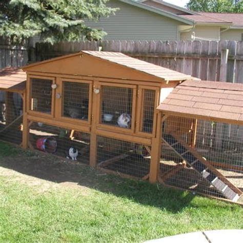 Extra Large Indoor Flemish Giant Cage At Douglas Nunez Blog