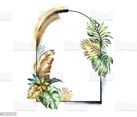 수채화 일러스트레이션 추상 형상 흰색 배경에 고립 된 다양한 녹색과 금색 열대 야자 수잎과 브러시 스트로크로 장식 된 아치 프레임 수채화에 대한 스톡 벡터 아트 및 기타