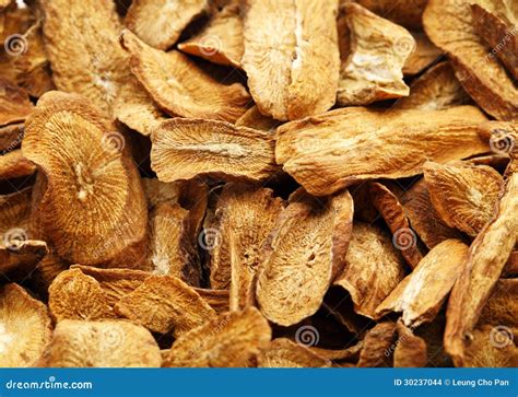 Herbal Dry Burdock Root Stock Photo Image Of Herbal 30237044