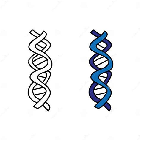 Dna String Stock Vector Illustration Of Doodle Biology 302062556