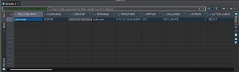 Oracle Audit Trail Enhanced Security